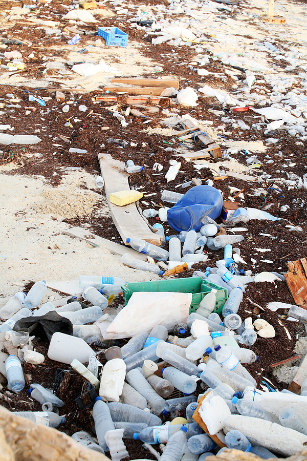 Alaska Wants More Resources for Tsunami Debris Cleanup