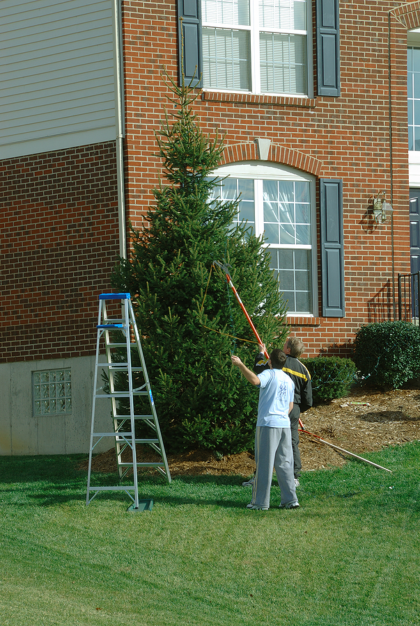Holiday Decorating Injuries Rising