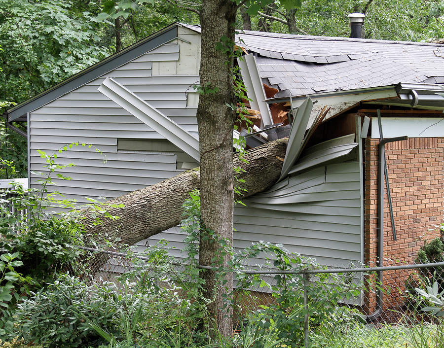 Falling Trees: Act of God or Covered Event?