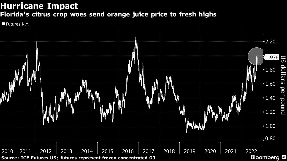 After Ian, Florida Orange Crop Set to be Smallest Since WWII
