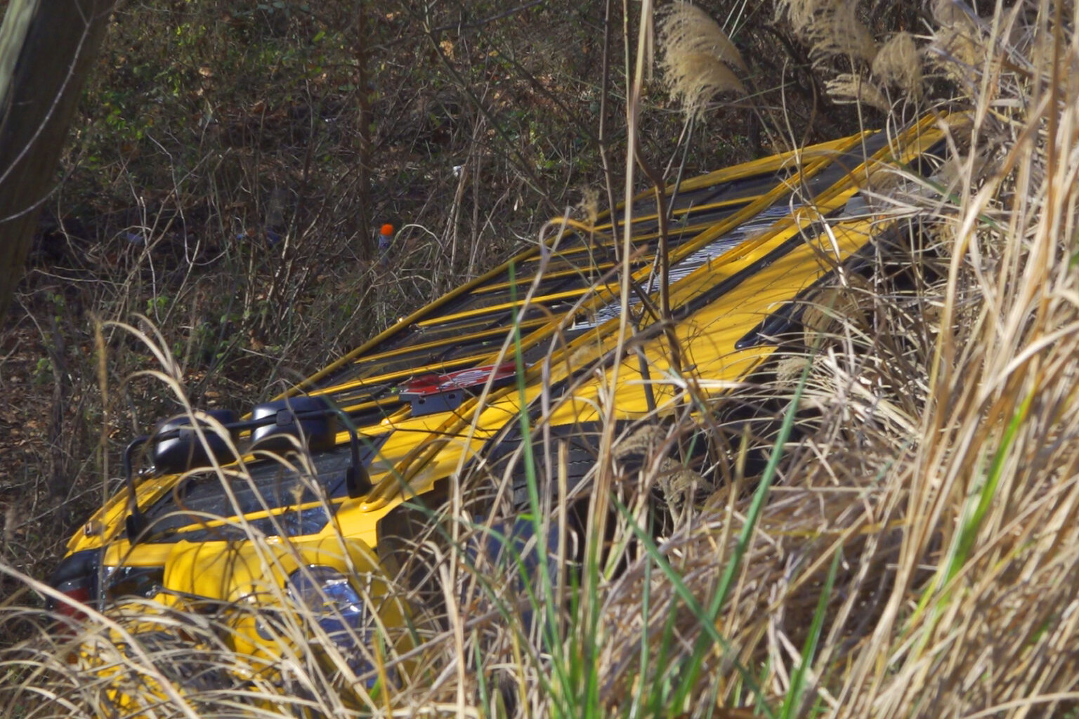 Kentucky School Bus Crashes off Embankment, 18 Children Hurt