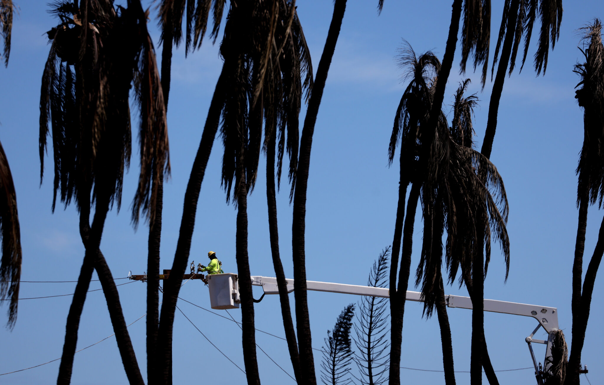 Maui Fire Caused by Broken Power Lines, County and US Find