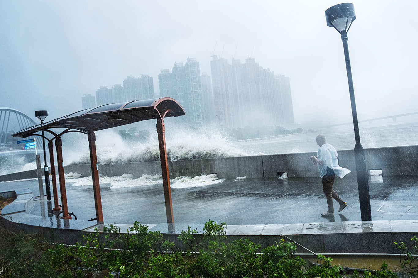 Typhoon Ragasa Nears China Coast After Lashing Hong Kong, Killing 15 in ...